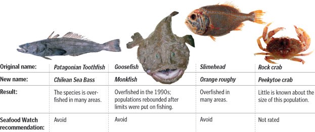 What’s in a name? For the slimehead and toothfish, the extreme makeover ...