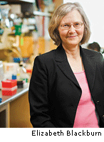 Nobel Prize Winner Elizabeth Blackburn Was An Outspoken Opponent Of ...