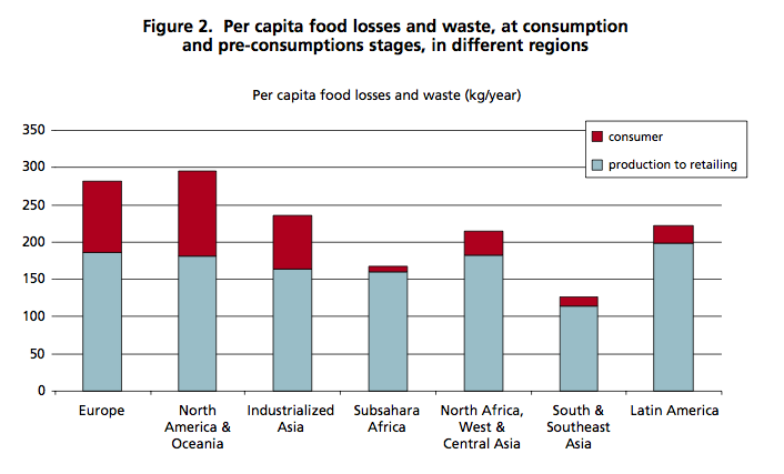 FAO: Besides Worsening Malnutrition, Massive Food Loss Causes Economic ...
