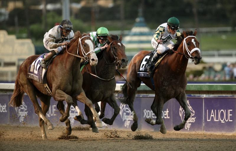 With Mucho Macho Man, Kathy Ritvo Becomes First Female Trainer To Win ...