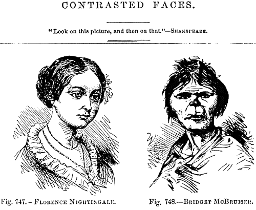 Want to know what climate change will bring? Look at the Irish Potato ...