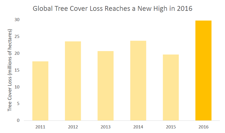 Global tree cover loss reaches a record high in 2016 – ThinkProgress