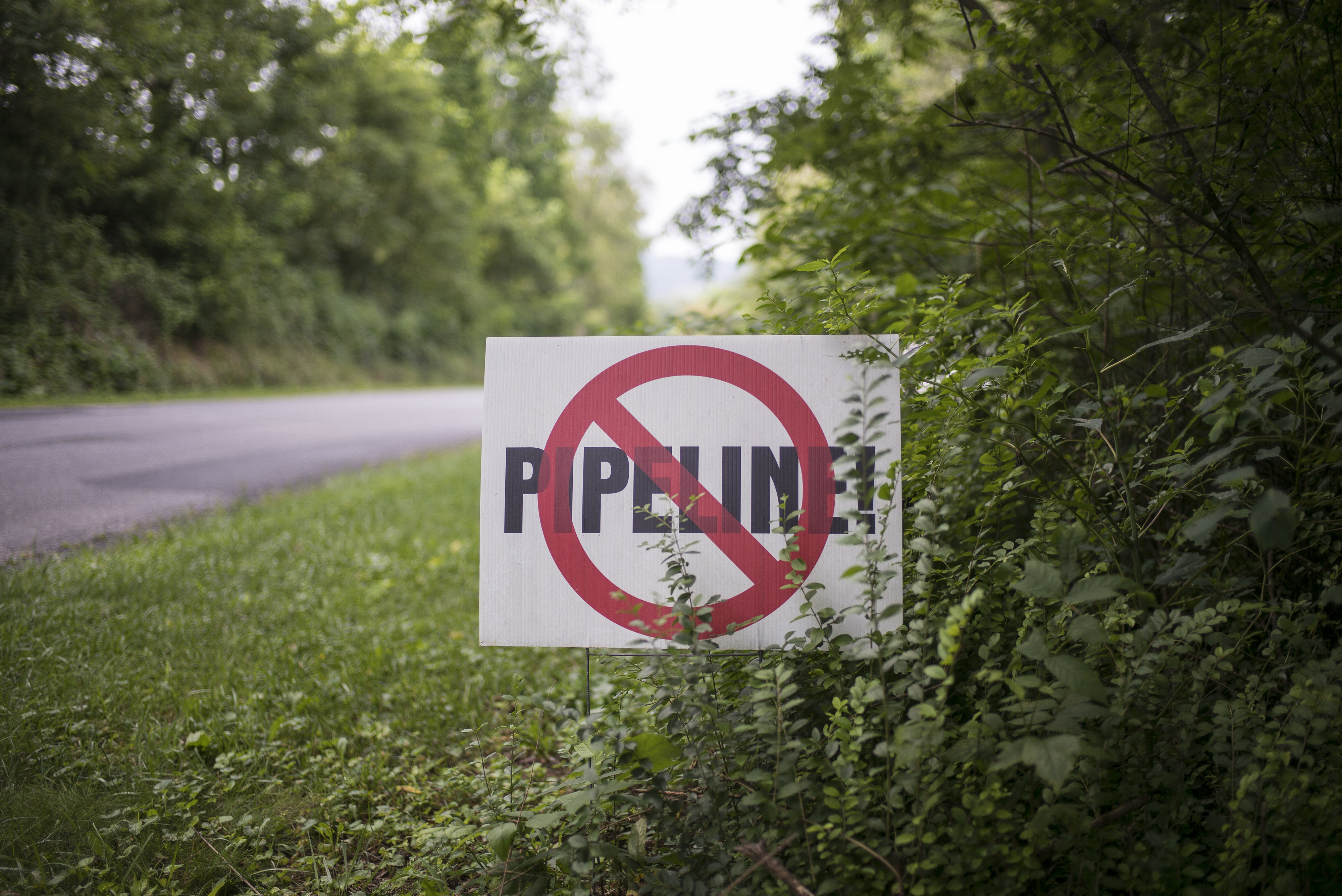 After a year of strong resistance, future looks uncertain for 2 ...